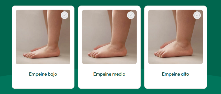 Morfología y evolución del pie